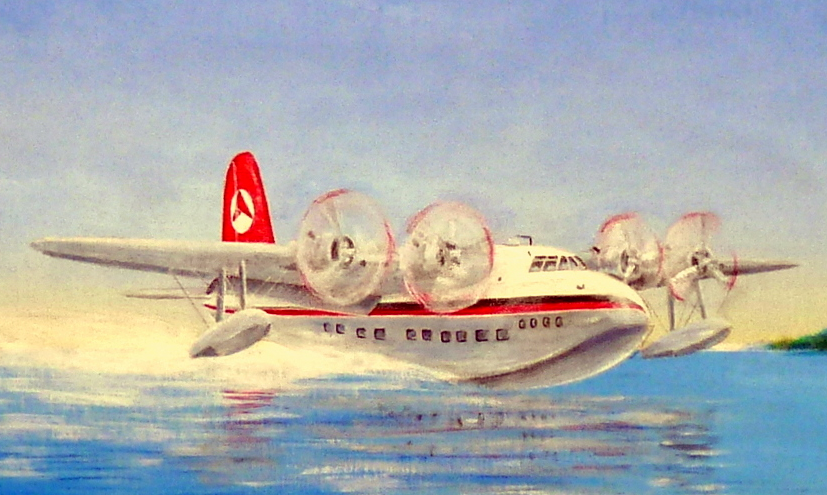 SIHG Zoom Meeting; BEACHCOMBER: the Secret Sunderland | Surrey ...